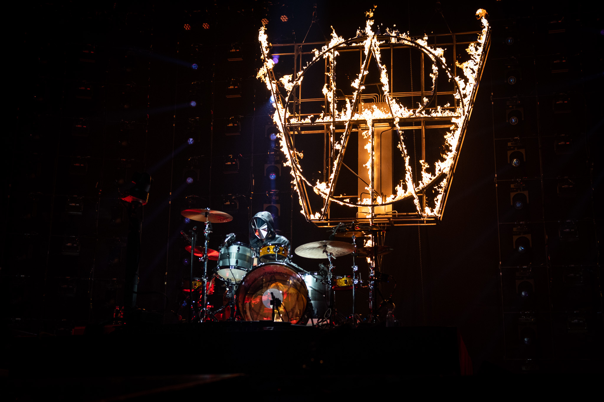 muse (4)