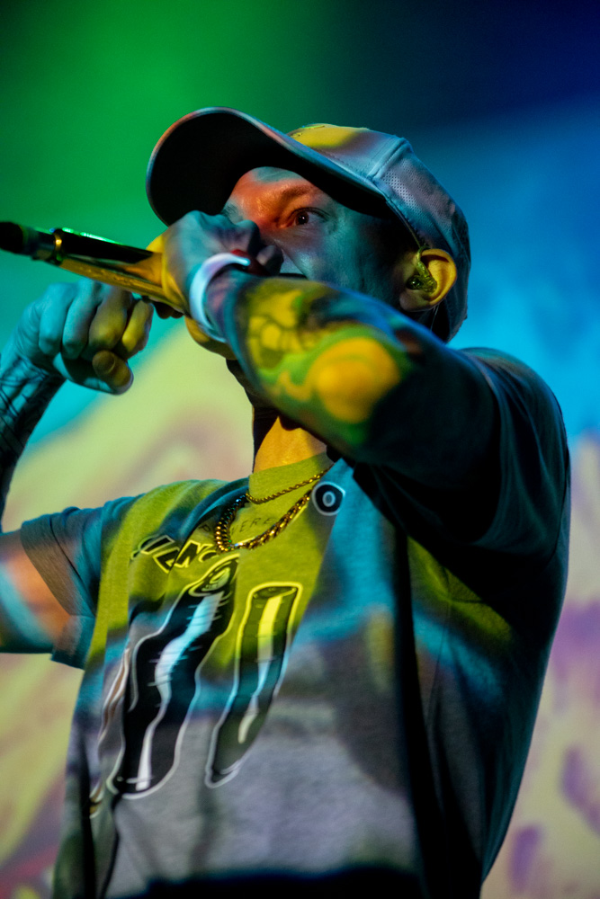 hunt-the-dinosaur (10)