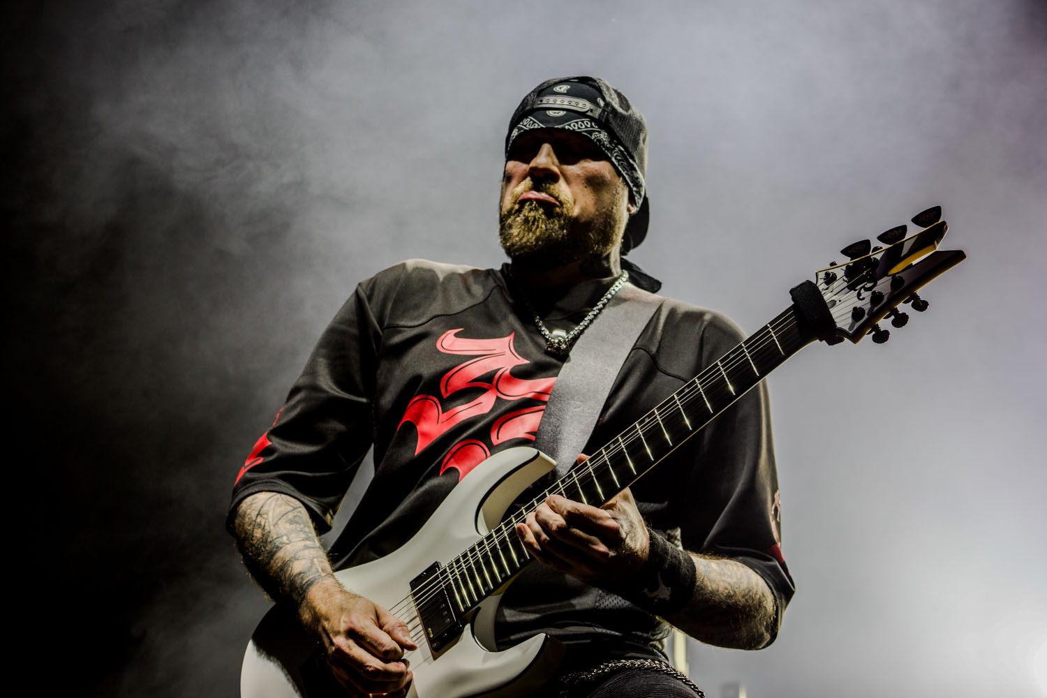 FFDP (11)