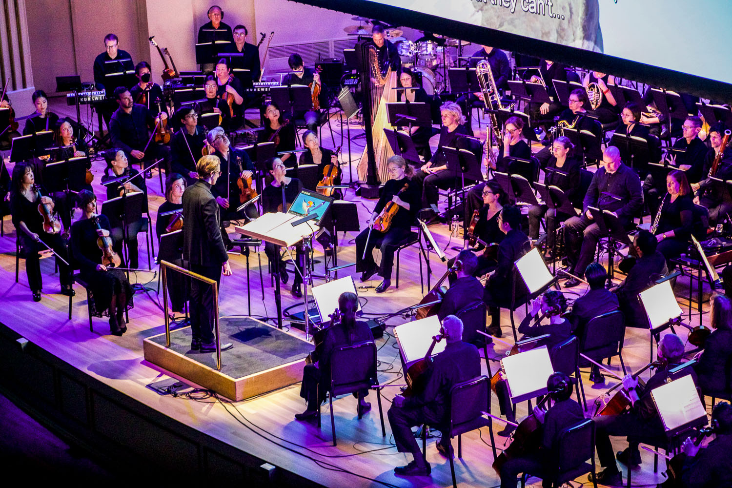 slso-lion-king (38)